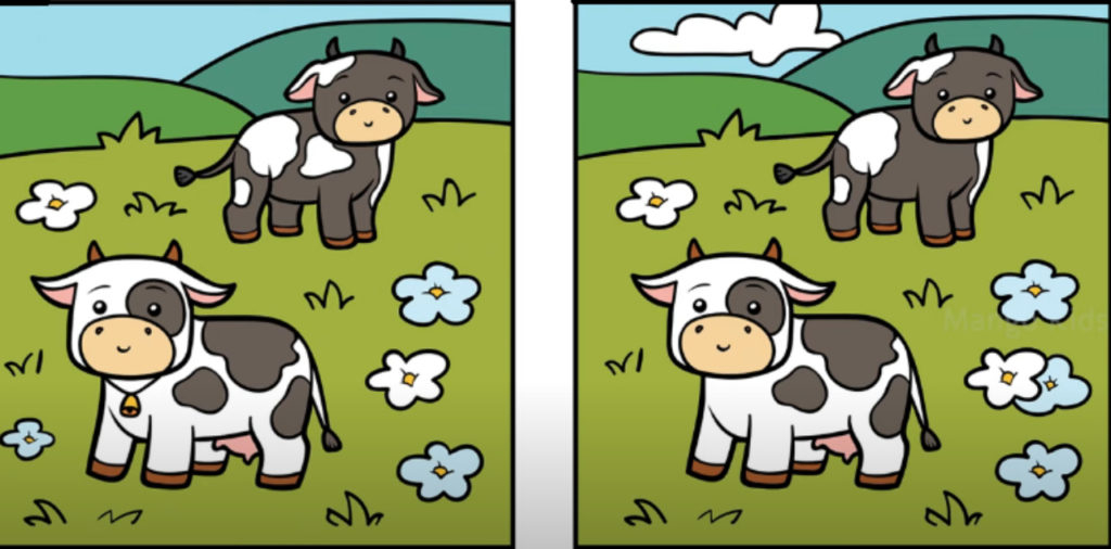 Quiz: Do You Think You Can Spot The Differences Between These Images